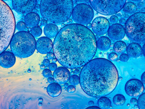 Blood Donation Software from MAK-System