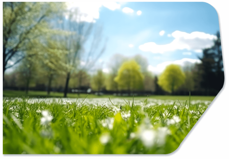 Find Out About MAK-System's Software and Technology