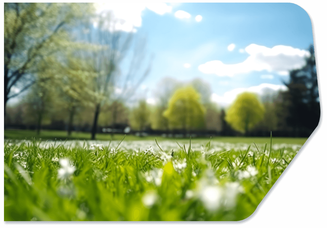 Find Out About MAK-System's Software and Technology