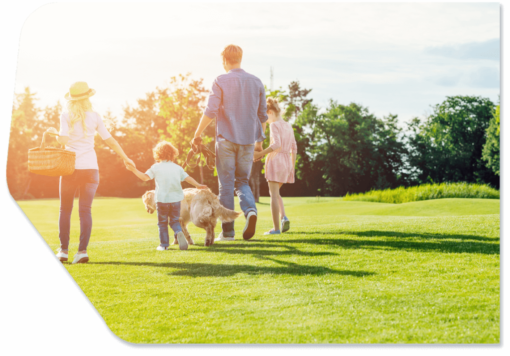 Find Out About MAK-System's Software and Technology