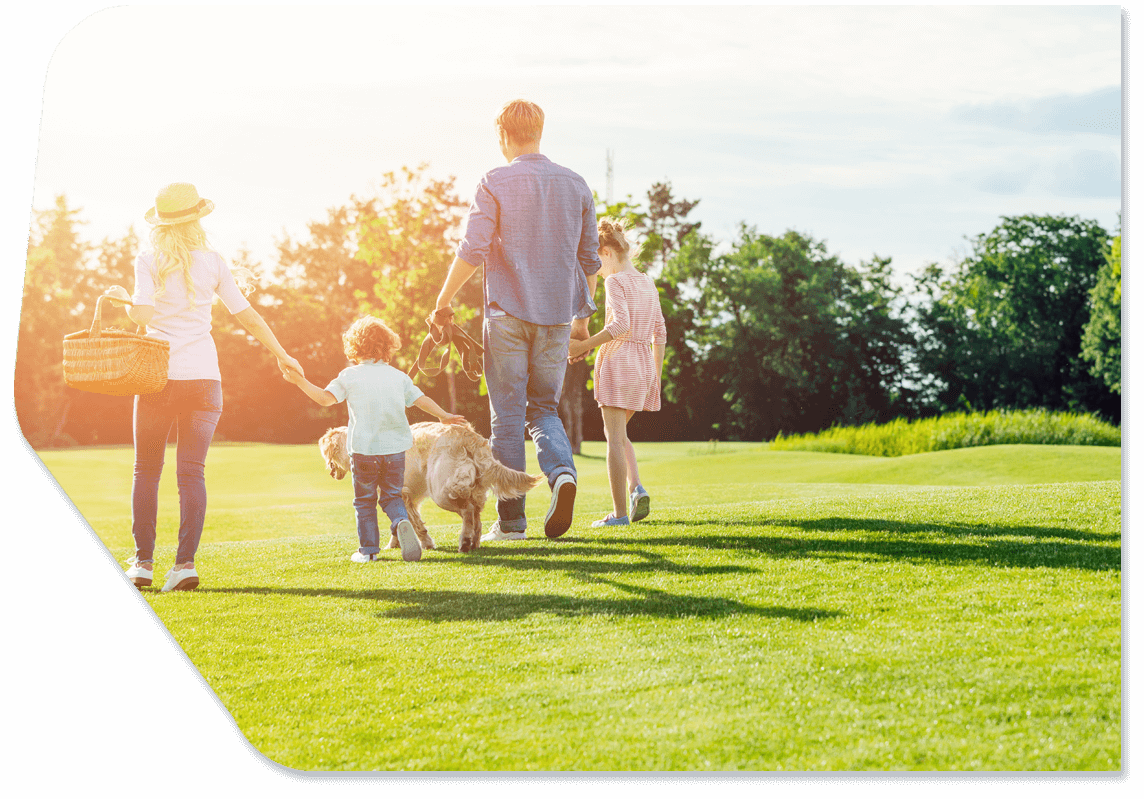 Find Out About MAK-System's Software and Technology